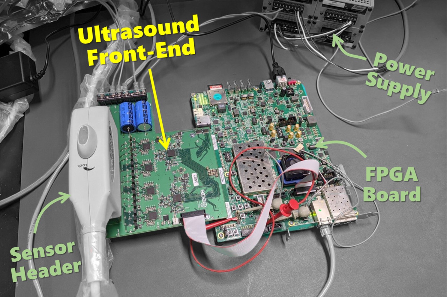 It's Alive! - Open Image